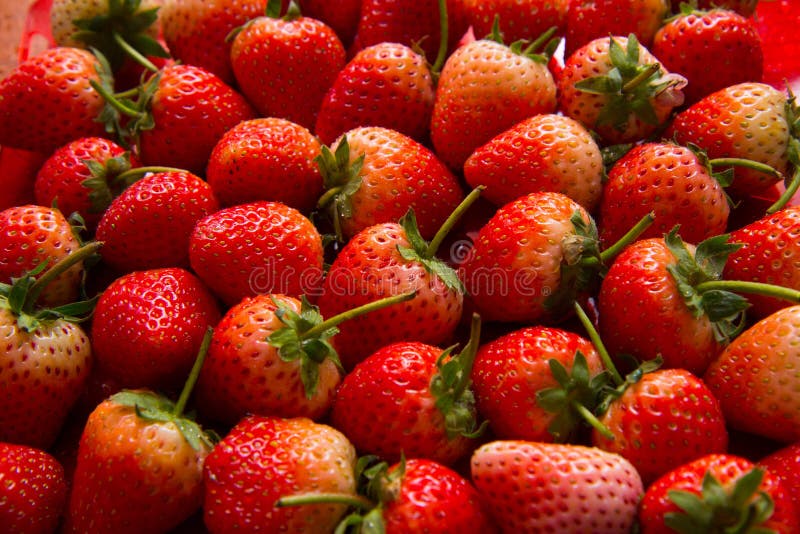 Strawberry Eatable Tasty Yummy Stock Photo - Image of natural, fruit ...