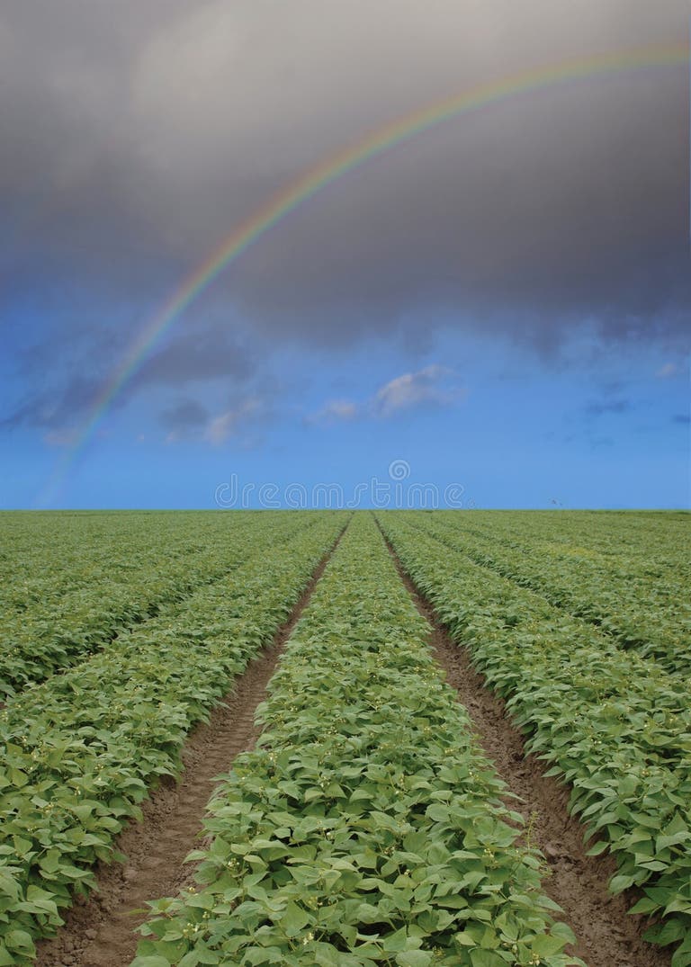 5,313 Produce Rainbow Stock Photos - Free & Royalty-Free Stock Photos ...