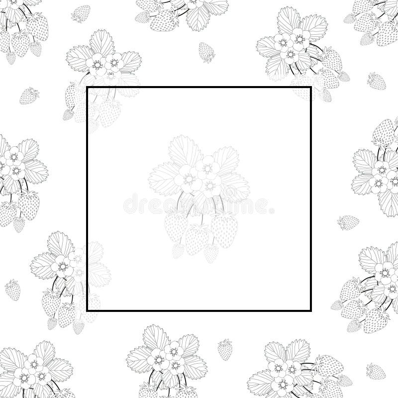 Strawberry and Flower Outline Banner on White Background2 Stock Vector ...
