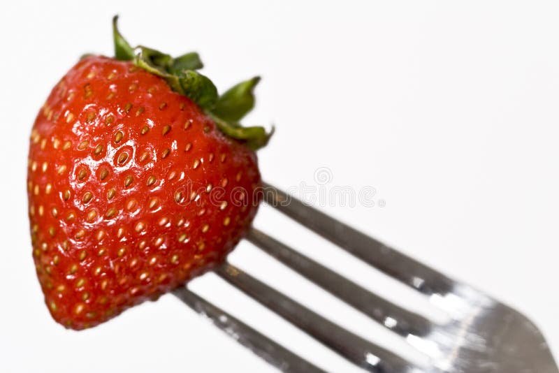 Strawberry fork stock photo. Image of fresh, freshly, farm - 3554128