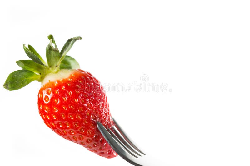 Strawberry fork stock photo. Image of organic, strawberry - 48798918