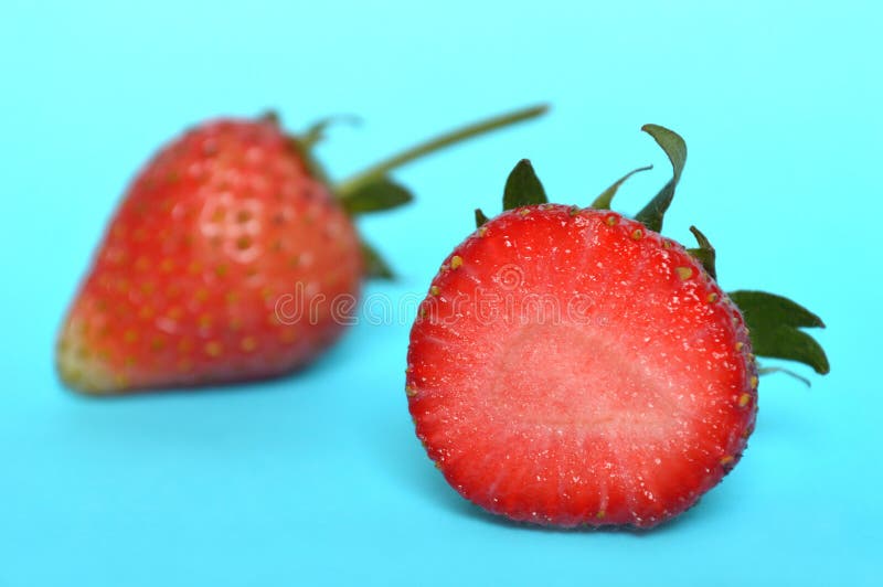 Fragaria Sp Stock Photos - Free & Royalty-Free Stock Photos from Dreamstime