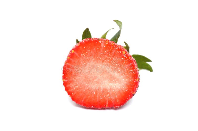 Fragaria Sp Stock Photos - Free & Royalty-Free Stock Photos from Dreamstime