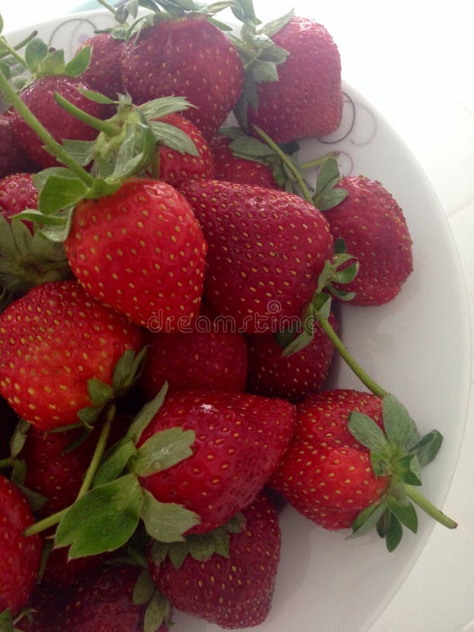 Strawberry stock image. Image of tasty, food, berry, strawberry - 57334941