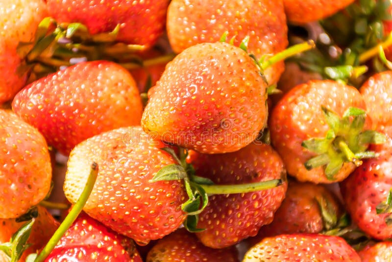 Zoom of a strawberry stock image. Image of glass, strawberries - 67467