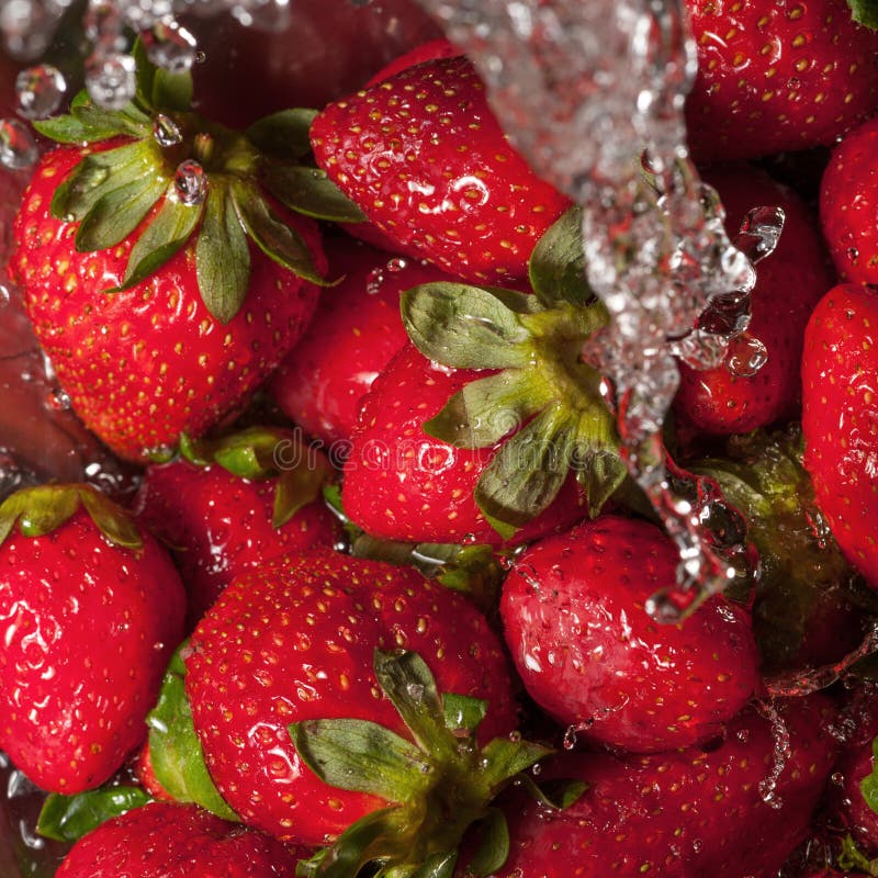 Strawberry fresh stock image. Image of healthy, group - 55176837