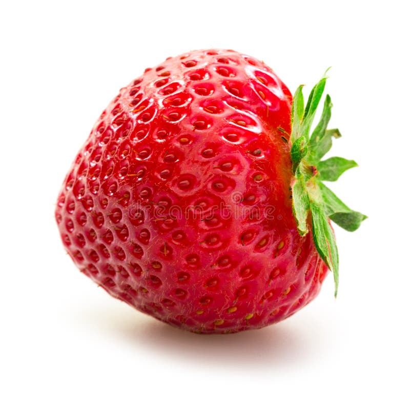 Bush of strawberry stock photo. Image of healthy, maturing - 21939796