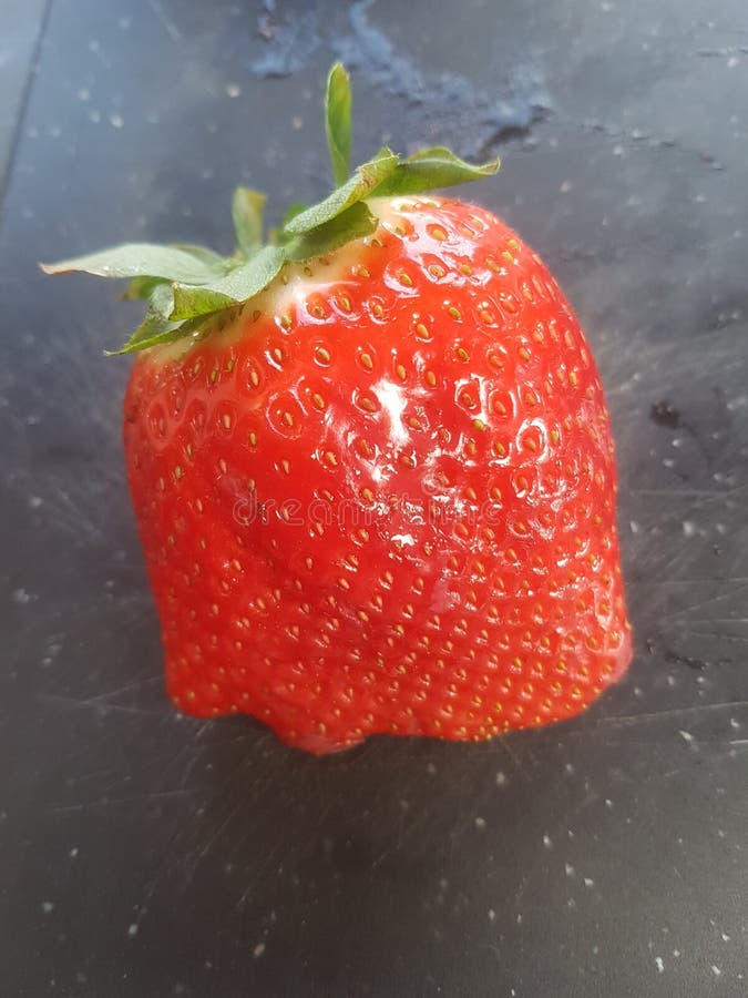 Strawberry Fresh Red Huge Fruit Berry Stock Photo - Image of strawberry ...