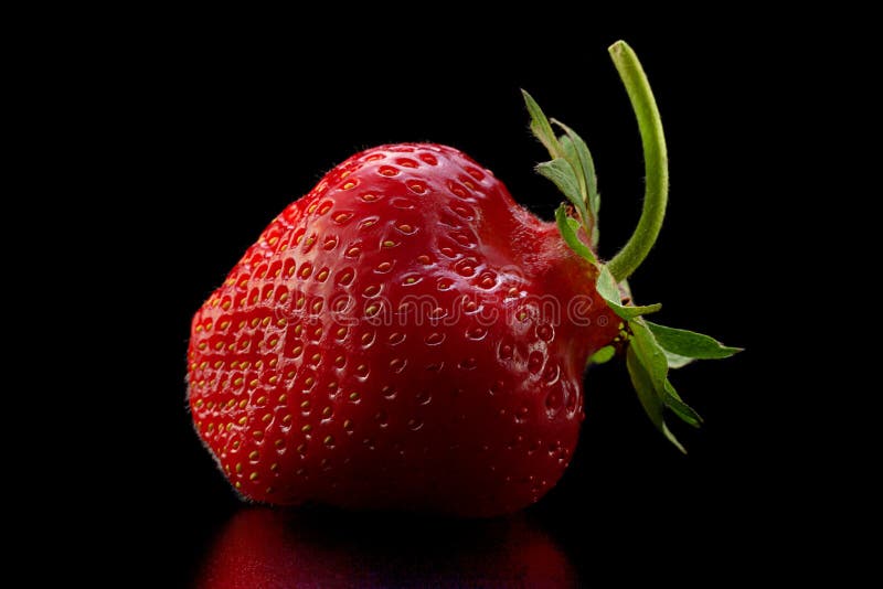 Strawberry fruit closeup stock image. Image of freshness - 260708995