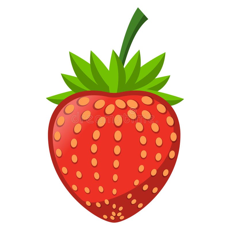 Strawberry Fruit Illustration Stock Vector - Illustration of tropical ...