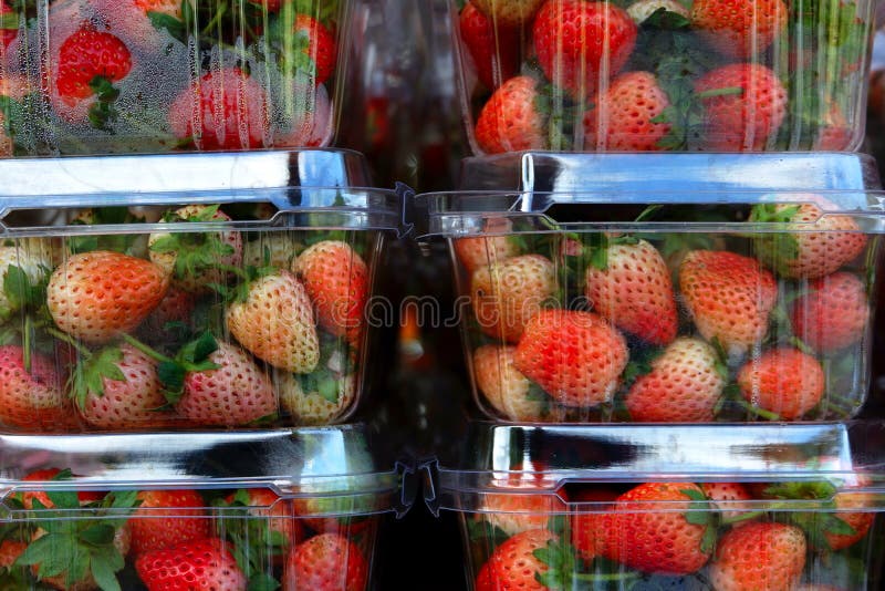 Strawberry Fruit in Package. Stock Photo - Image of garden, outdoor ...