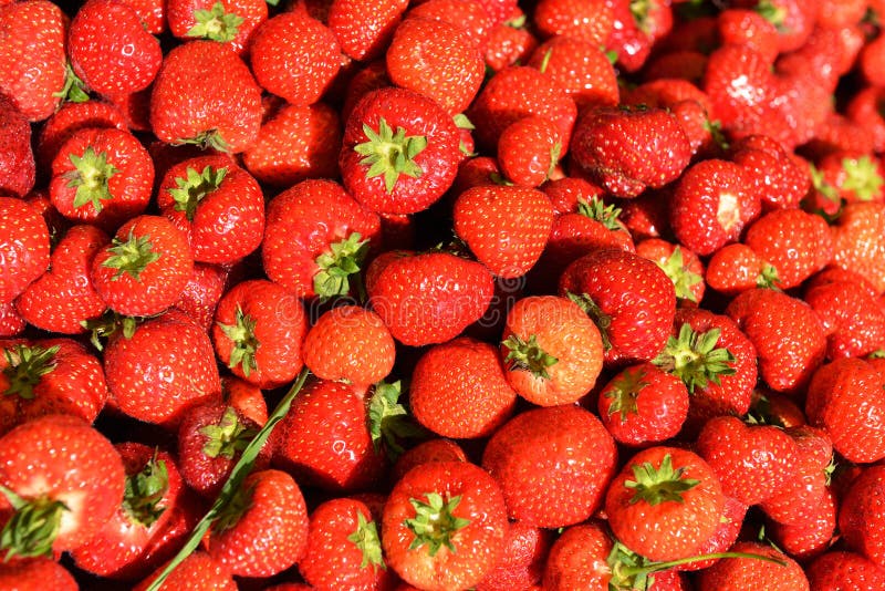 274 Aggregate Fruits Stock Photos - Free & Royalty-Free Stock Photos ...