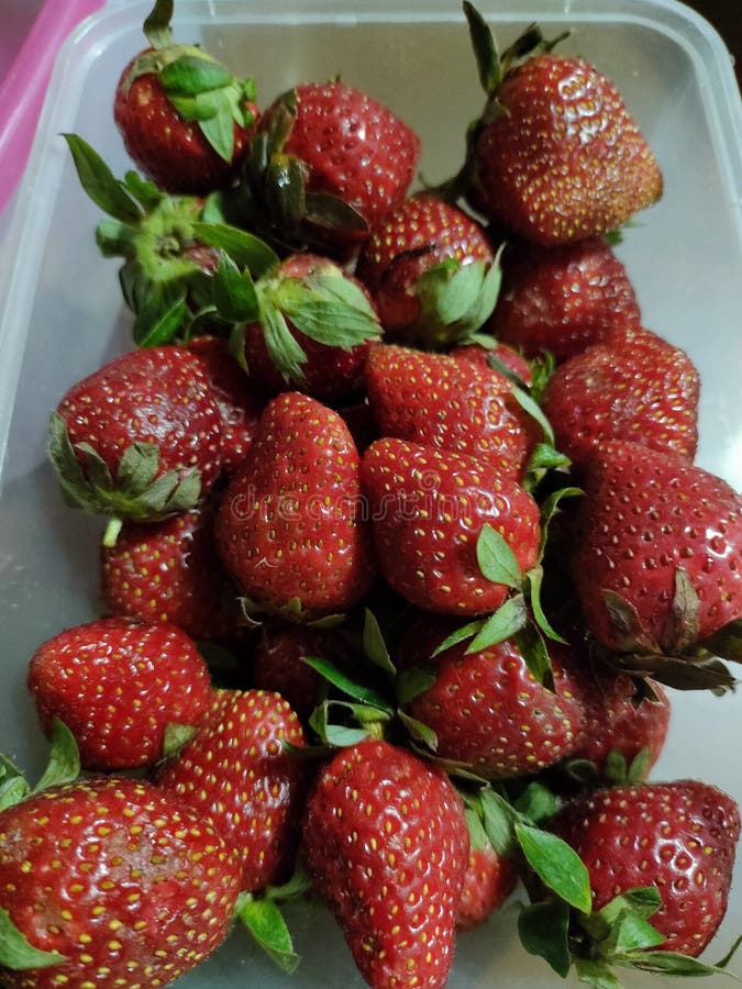 Strawberry Fruits Sour Sweet Stock Photo - Image of sweet, strawberry ...