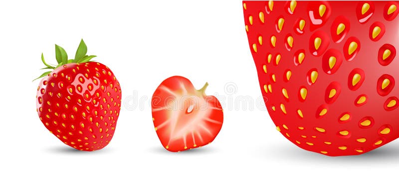 Strawberry Half Cut Fresh Fruit Healthy Food Stock Vector ...