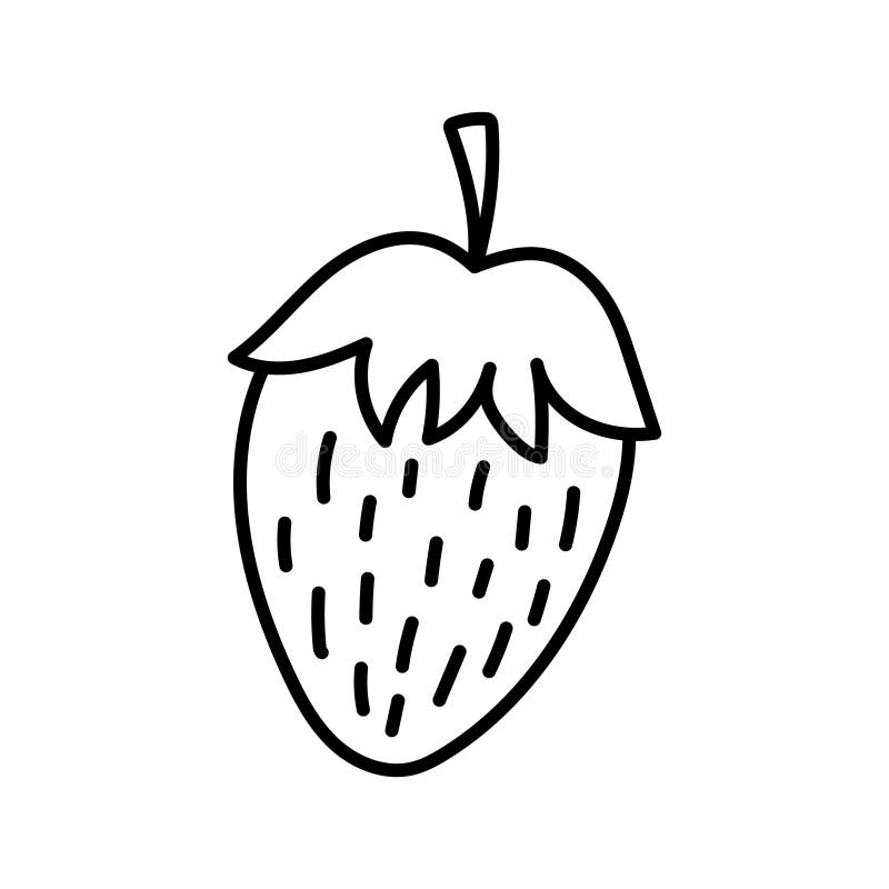 Strawberry, hand-drawn stock vector. Illustration of fruit - 257337880