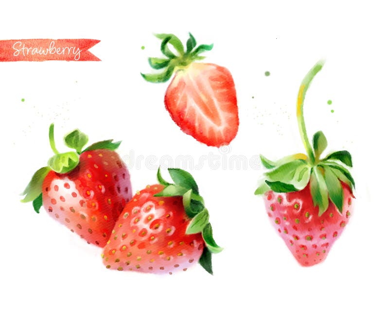 Strawberry Hand-painted Watercolor Illustration Set, Whole Berries and ... Strawberry Hand-painted Watercolor Illustration Set, Whole Berries and ...