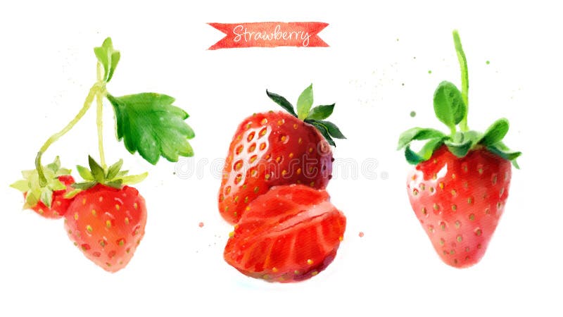 Strawberry Hand-painted Watercolor Illustration Set, Whole Berries and ... Strawberry Hand-painted Watercolor Illustration Set, Whole Berries and ...