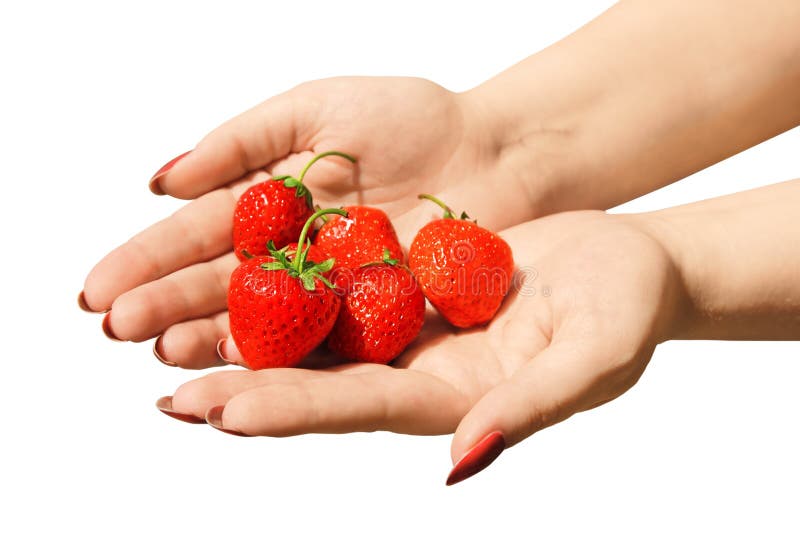 Strawberry in hands stock photo. Image of girl, lady - 18931066