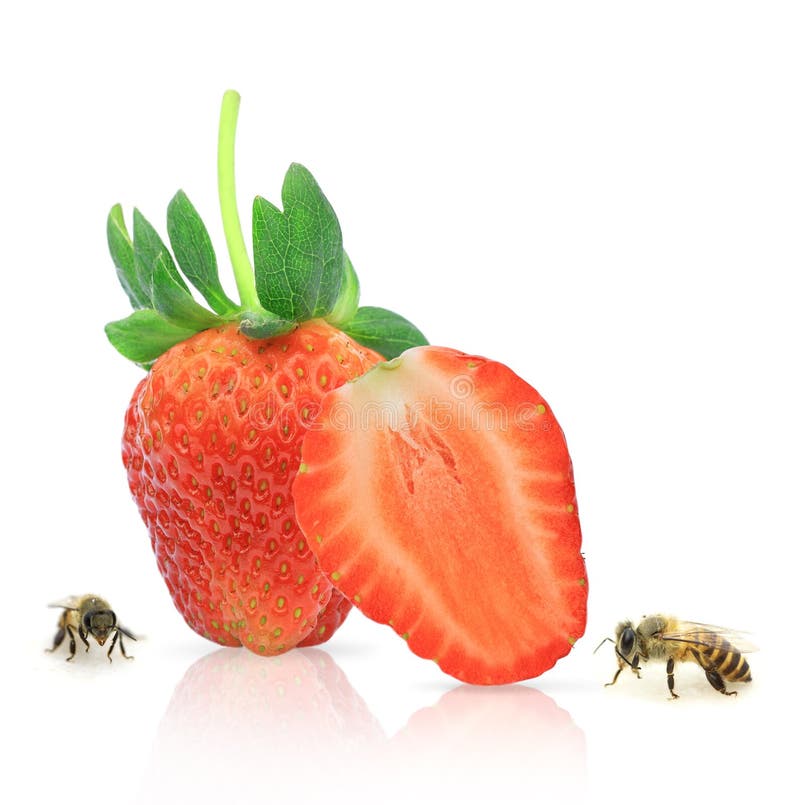 Strawberry Have Two Bee Isolated Stock Image - Image of green, seed ...