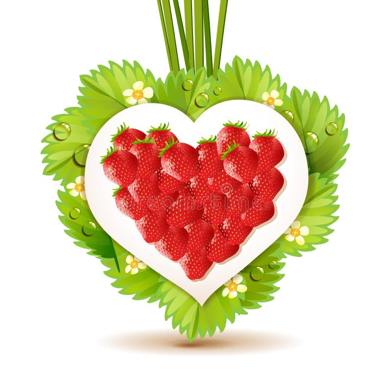 Strawberry heart stock vector. Illustration of food, composition - 24786998