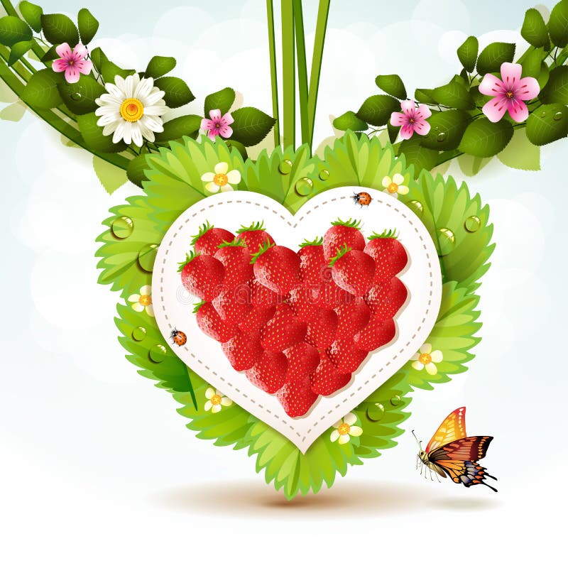 Strawberry heart stock vector. Illustration of food, composition - 24786998