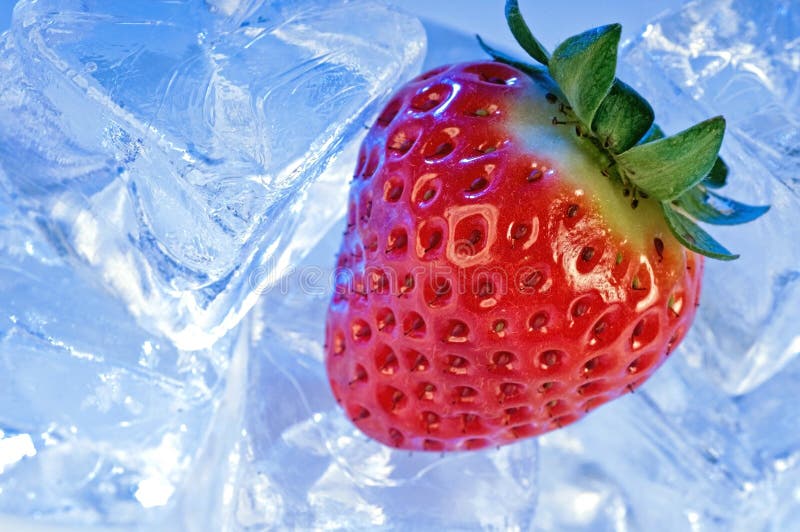 Strawberry in ice stock photo. Image of fresh, cocktail - 13183328