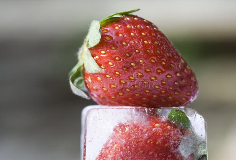 Strawberry on ice stock photo. Image of passion, vitamines - 9675836