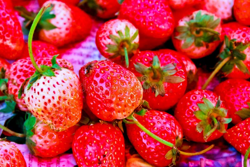 Strawberry Inside Paper Boxes Ready for Sale. Stock Photo - Image of ...