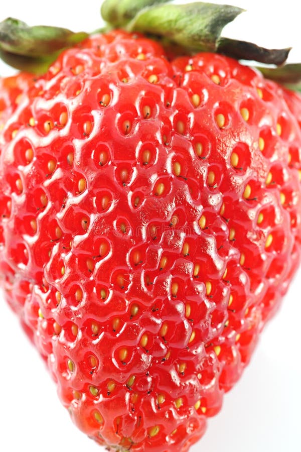 Strawberry Isolated stock photo. Image of eating, isolated - 18417840