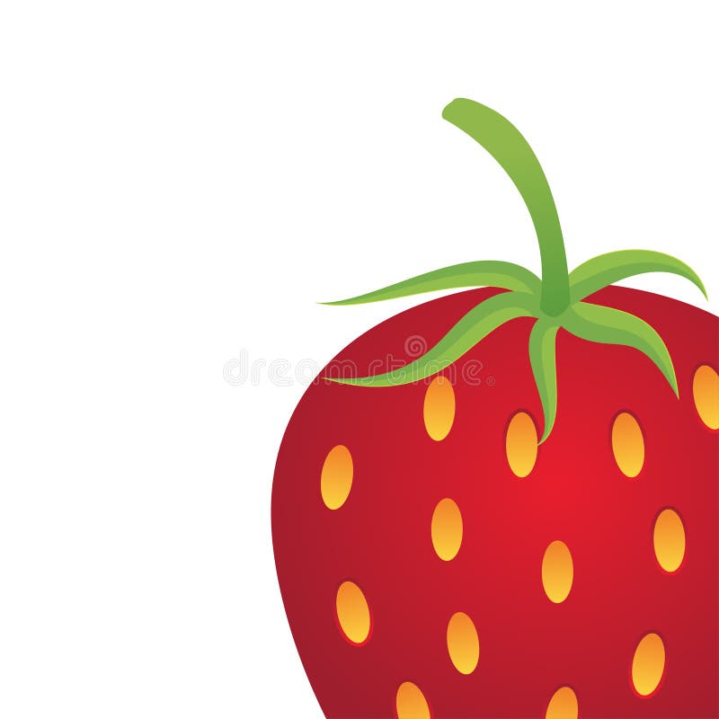 Strawberry Isolated. Fruit Vector Stock Vector - Illustration of ...
