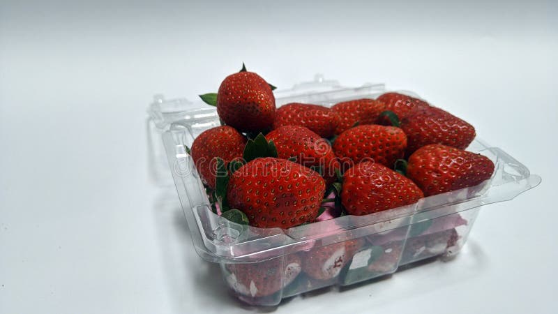 Strawberry Isolated. Strawberries on White Stock Photo - Image of ...