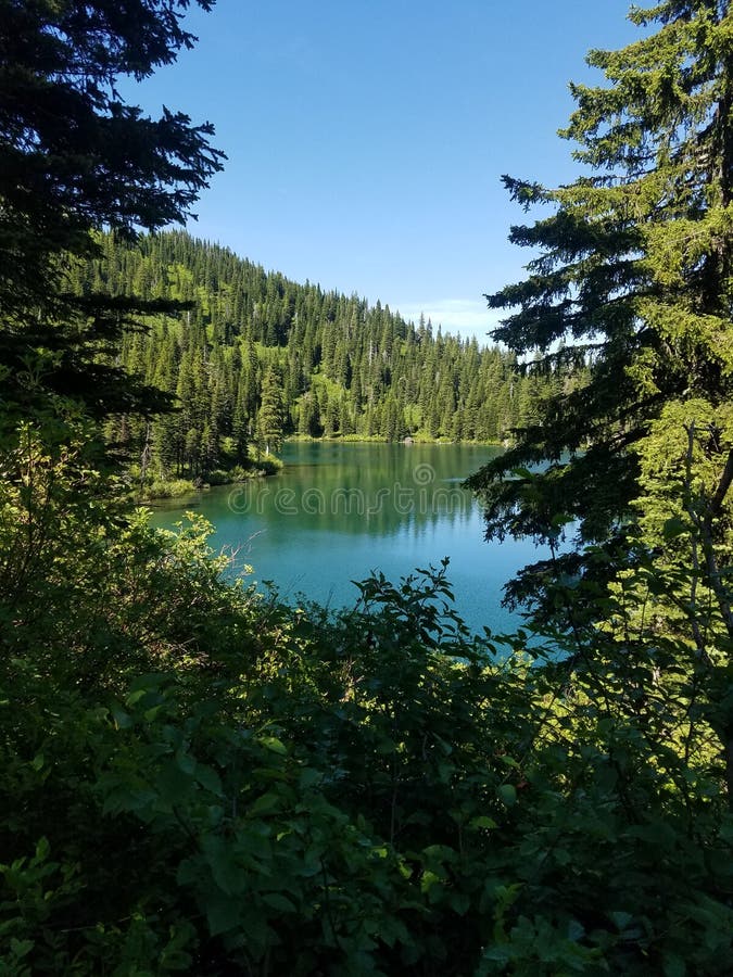 Strawberry Lake, Flathead National Forest Stock Image - Image of ...