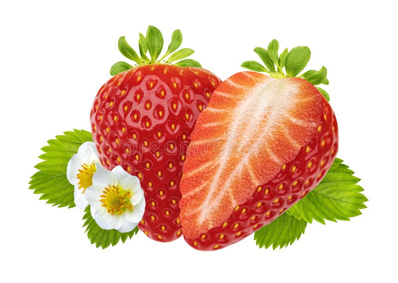 Strawberry with Leaves and Flowers Isolated on White Background Stock ...