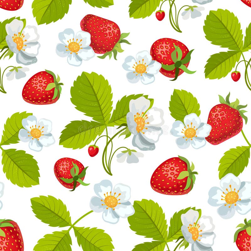 Strawberry with Leaves and Flowers. Seamless Pattern Stock Vector ...