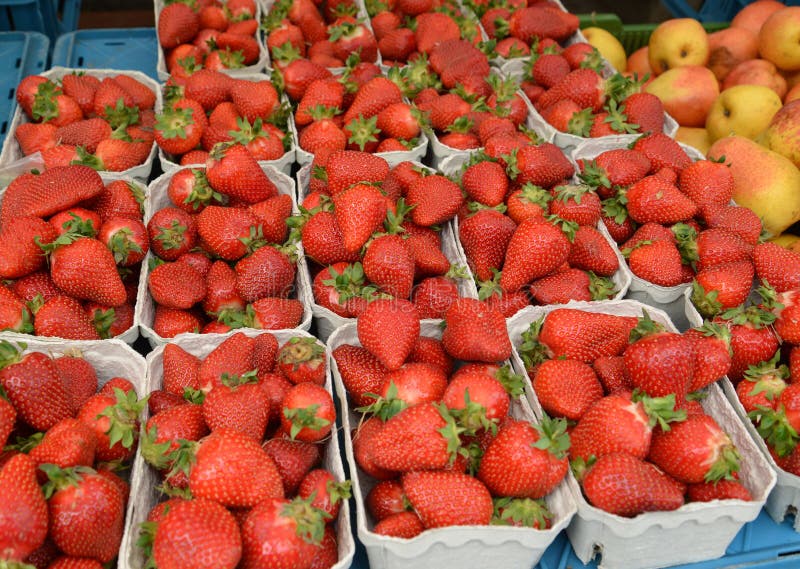 Strawberry Lies on a Market Counter Stock Photo - Image of lies, market ...