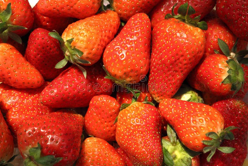 Strawberry stock image. Image of juicy, fresh, sweet - 49323857
