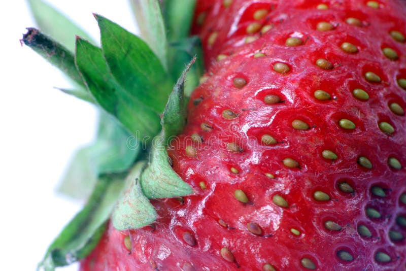 Strawberry. Macro stock image. Image of nutrien, health - 1890617