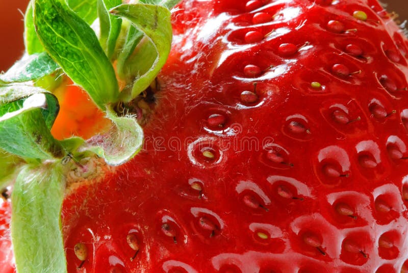 Strawberry macro stock photo. Image of light, fruits - 18997132