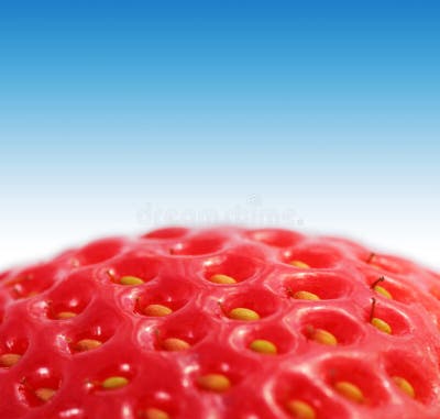 Strawberry macro stock photo. Image of planet, composition - 2290628