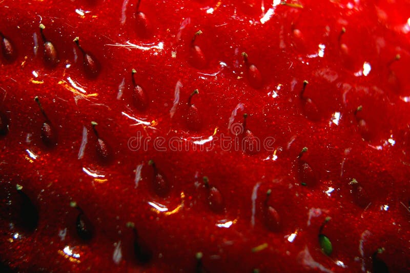 Strawberry macro stock image. Image of fruits, diet, small - 29505997