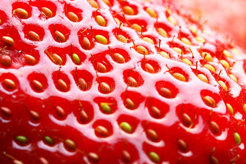Strawberry macro stock photo. Image of planet, composition - 2290628