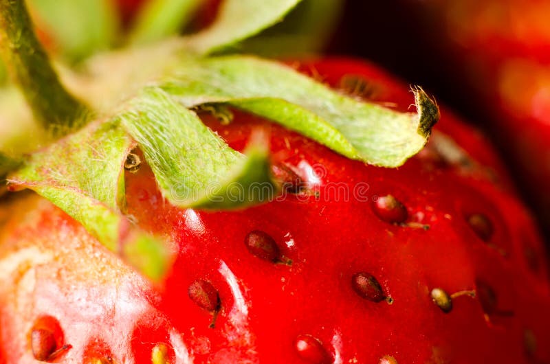 Strawberry macro stock image. Image of healthy, ripe - 82819623