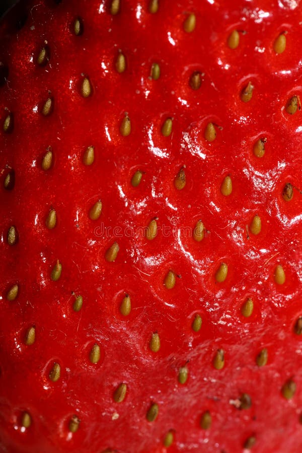 Strawberry Macro Background Modern High Quality Prints Stock Photo ...