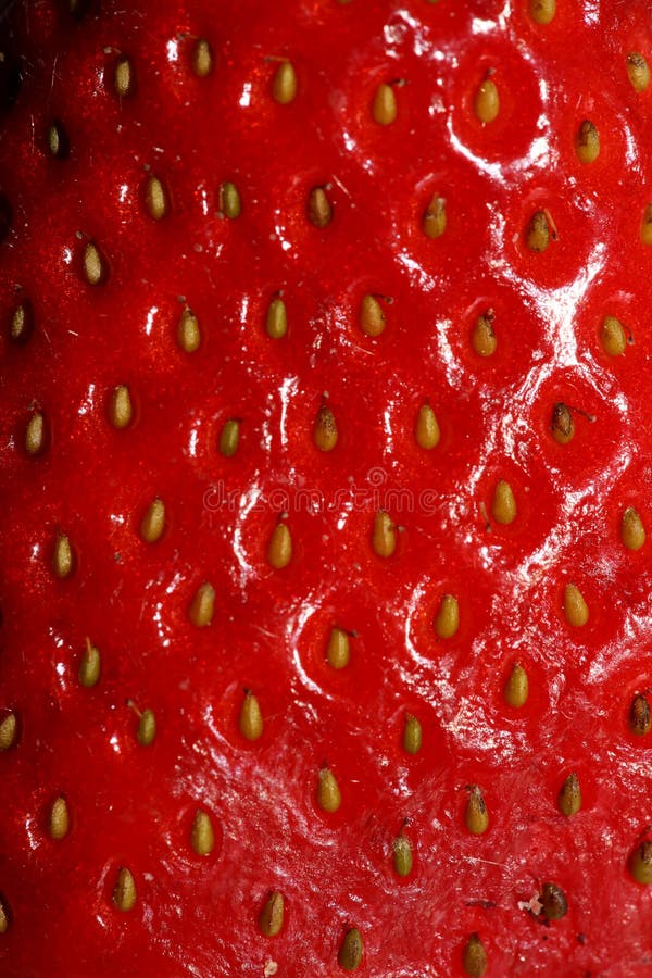 Strawberry Macro Background Modern High Quality Prints Stock Photo ...