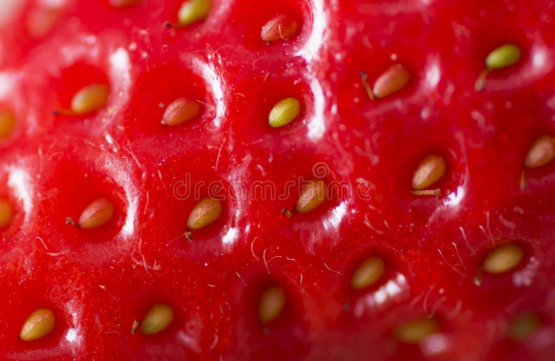 Strawberry macro stock image. Image of seeds, bright - 50918139