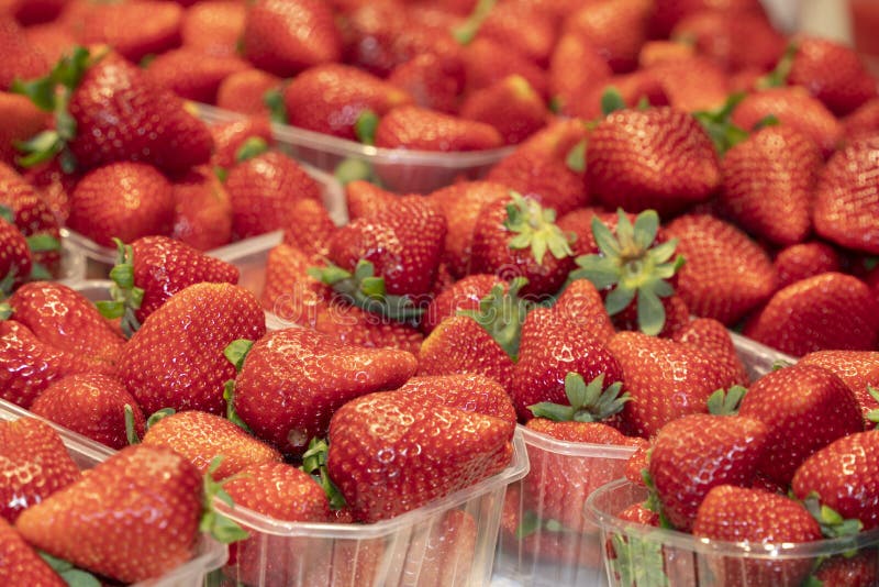Strawberry at the market stock photo. Image of summer - 247042780