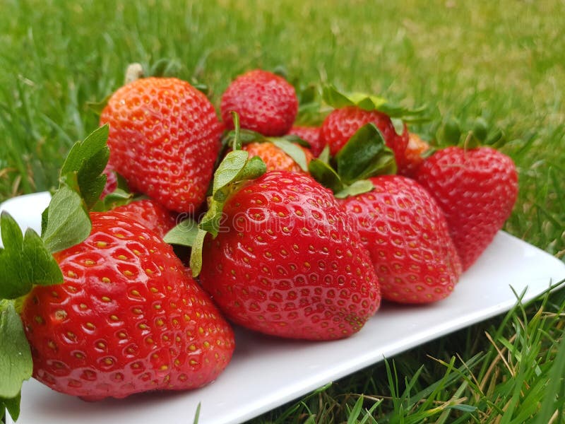 Strawberry, Natural Foods, Strawberries, Fruit Picture. Image: 115877746