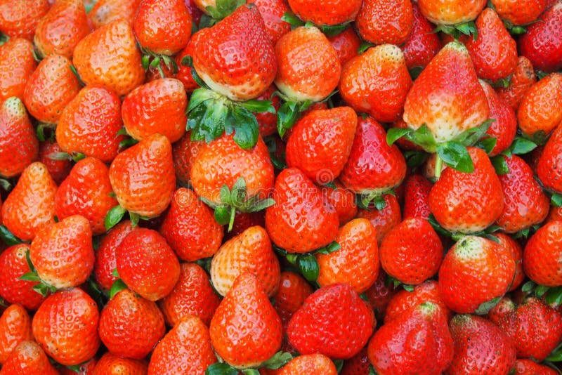 Strawberry, Natural Foods, Strawberries, Fruit Picture. Image: 122204733