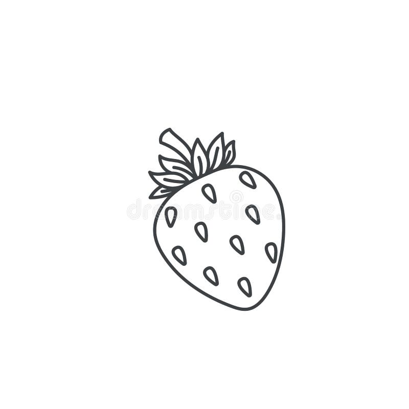 Strawberry Outline Icon stock vector. Illustration of draw - 239928975