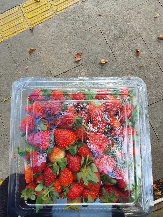 Strawberry pack outdoor stock photo. Image of dessert - 269200062